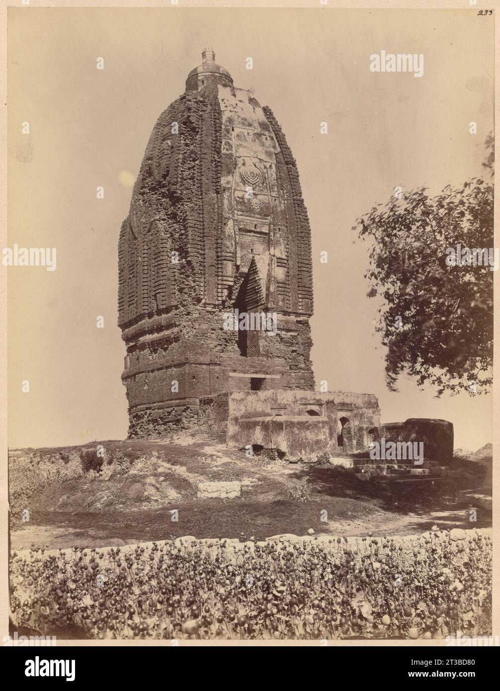 Konch hi-res stock photography and images - Alamy