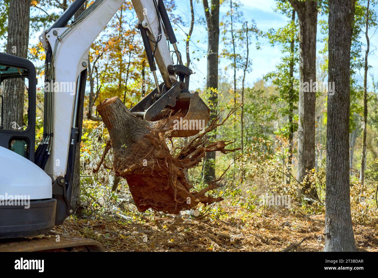 Skid steer remove roots land clearing for housing a complex ...