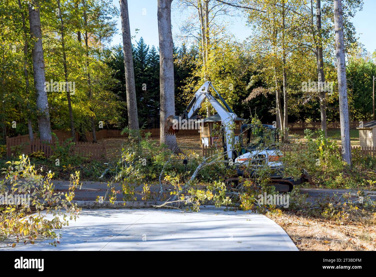Fallen trees aftermath hurricane impact near home, street cleanup skid ...