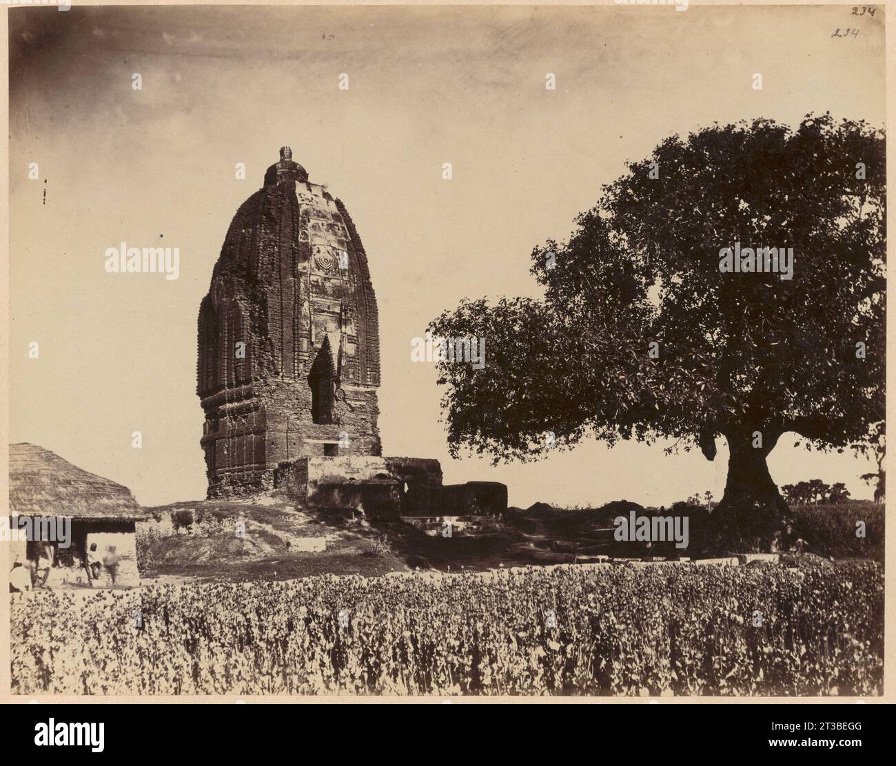 Konch hi-res stock photography and images - Alamy