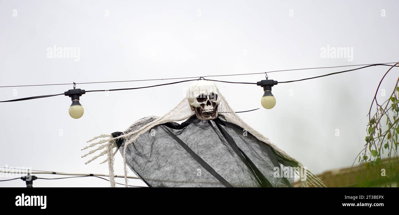 Hanging head, skull on an electric cables Stock Photo - Alamy