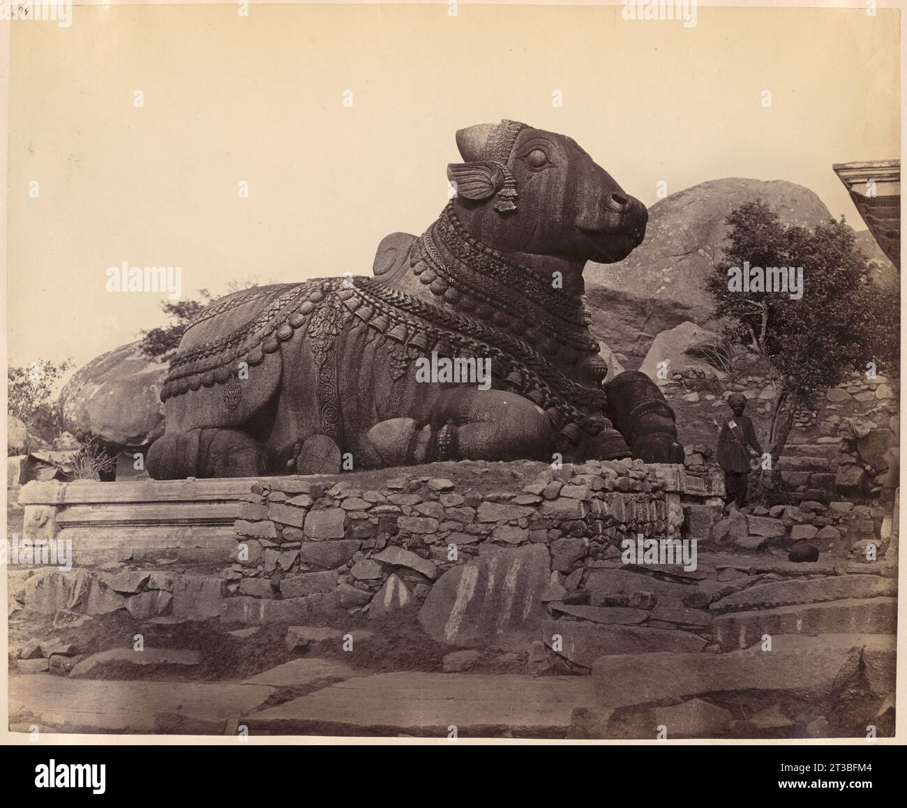 Stone bull or Basava on Chamundi Hill, city of Mysore Stock Photo - Alamy