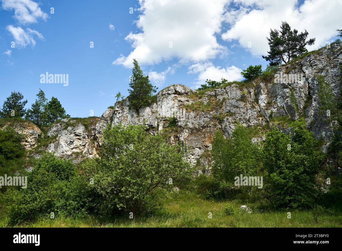 Limestone rocks of an old quarry overgrown with trees and bushes ...