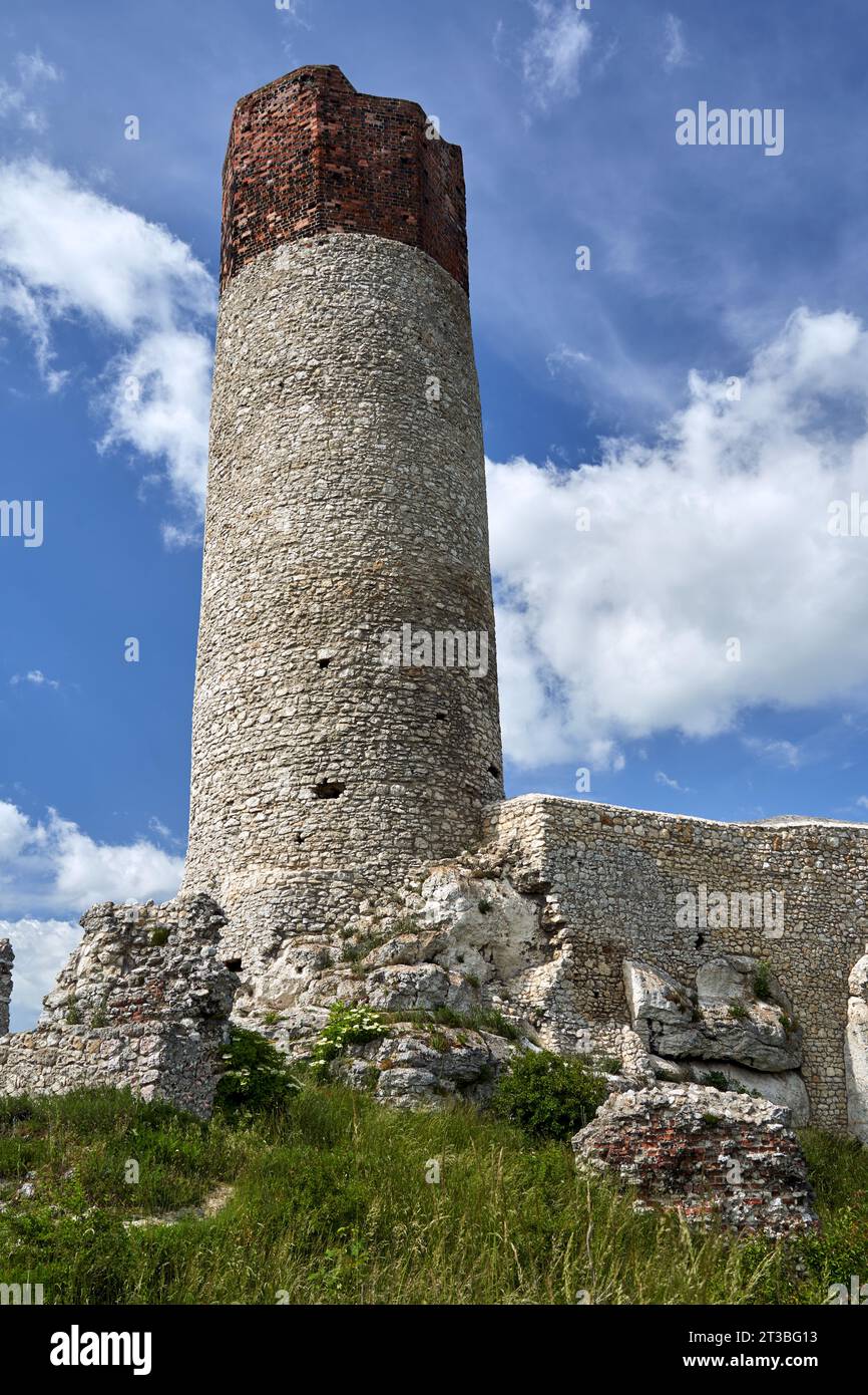 Limestone rocks and ruins of a medieval castle with a tower in Olsztyn ...