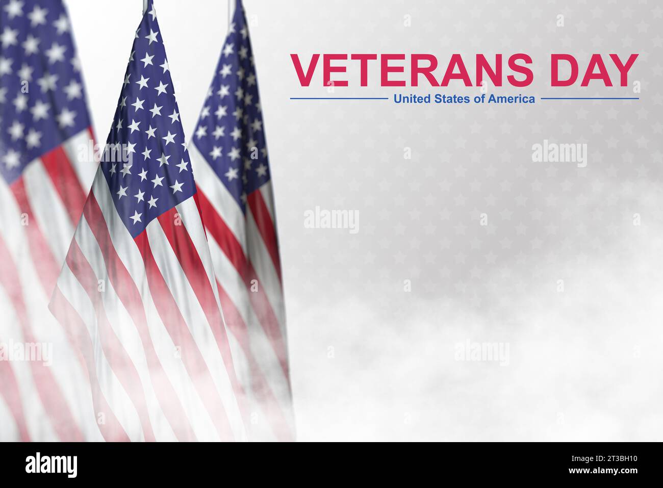 Happy veteran's day. Thank you veterans. Honoring all who served. 11th ...