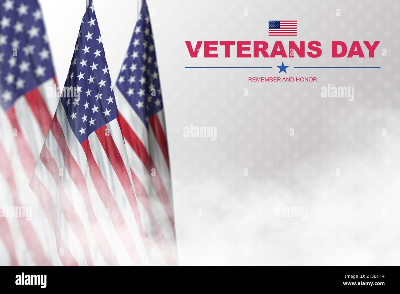 Happy veteran's day. Thank you veterans. Honoring all who served. 11th ...