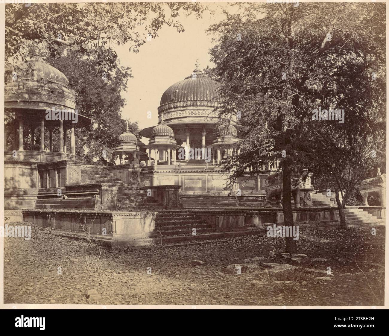 Kota umed singh of hi-res stock photography and images - Alamy