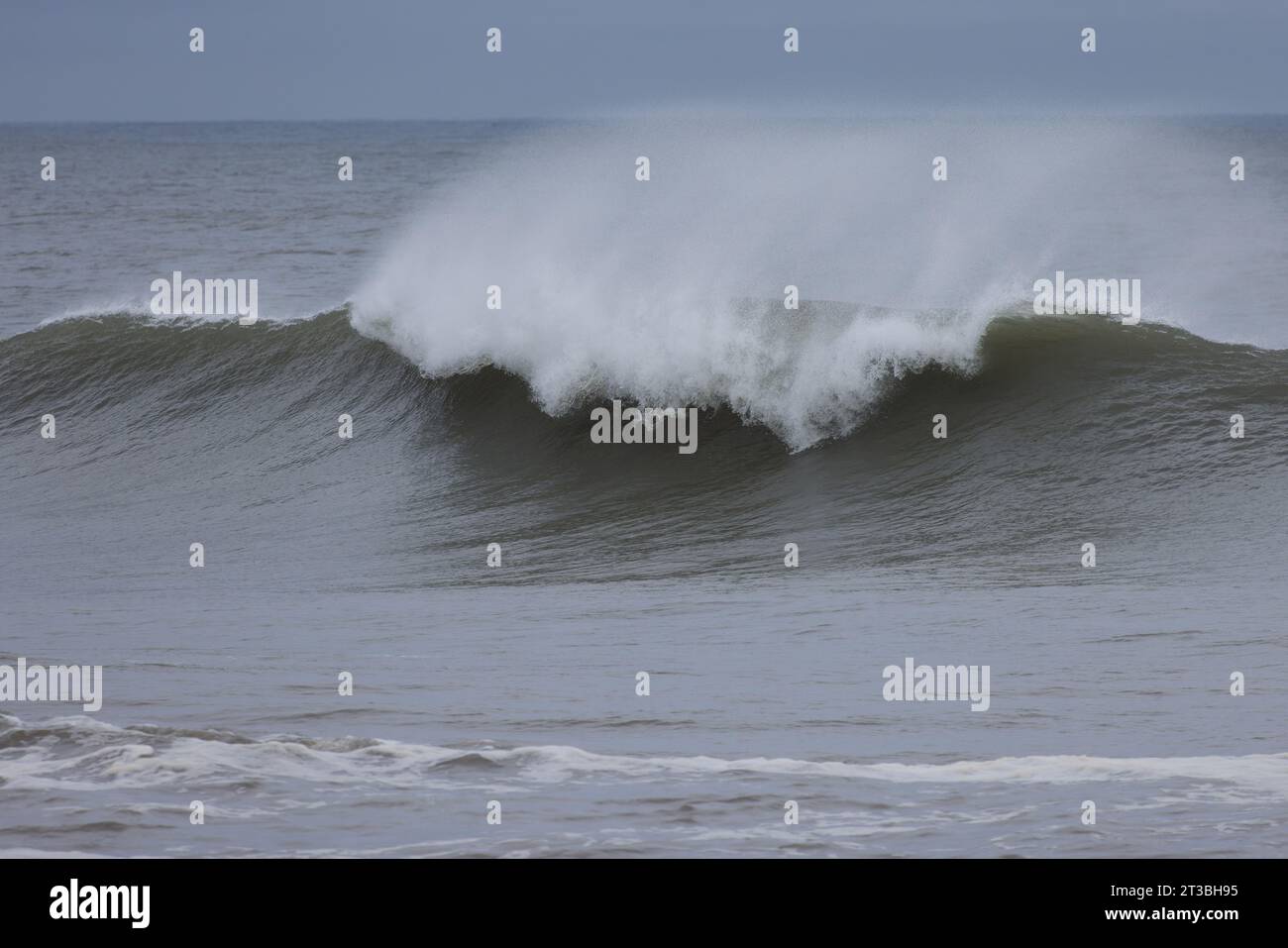 2023 surf hi-res stock photography and images - Alamy