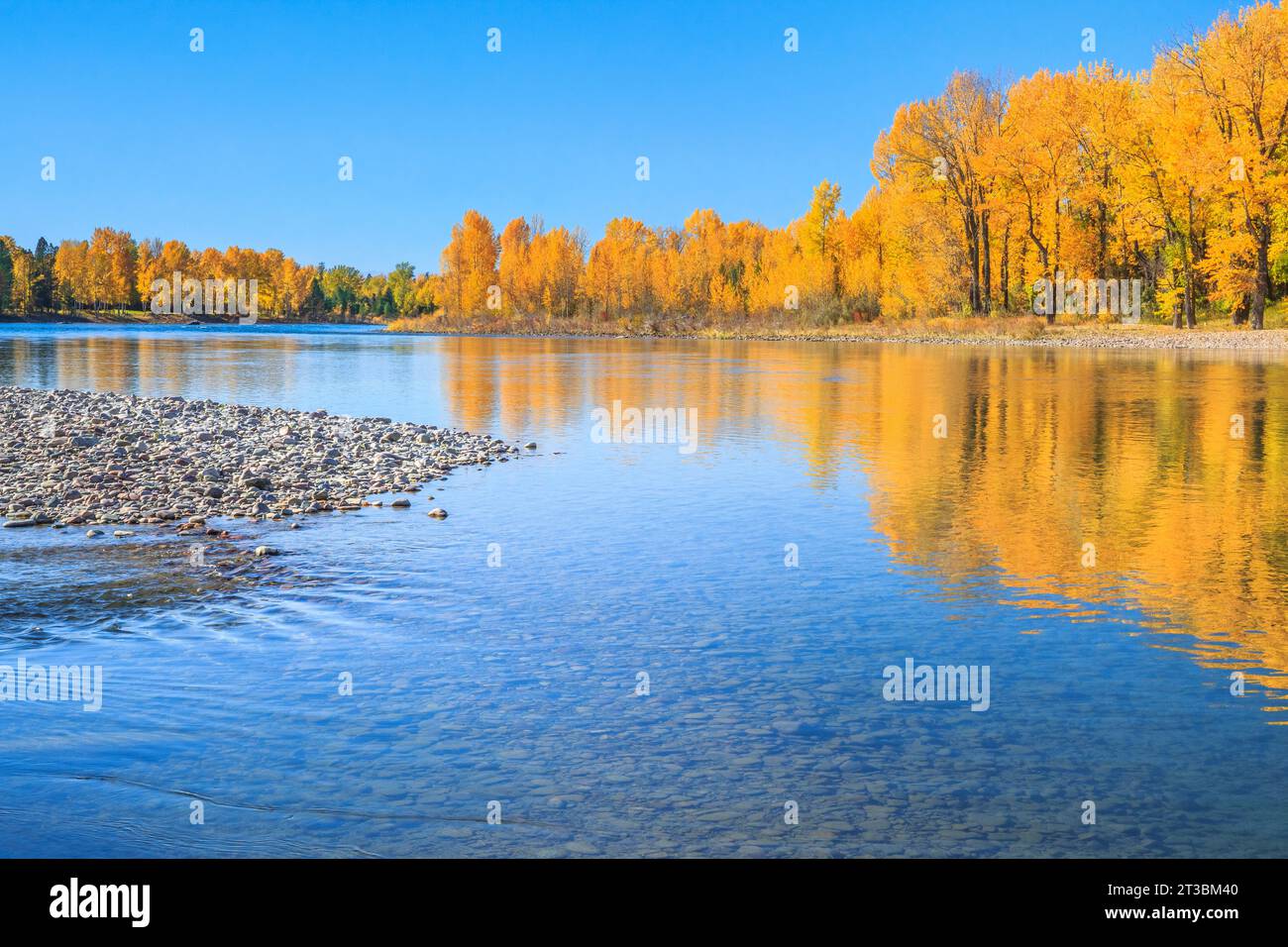 fall colors along the flathead river at columbia falls, montana Stock ...