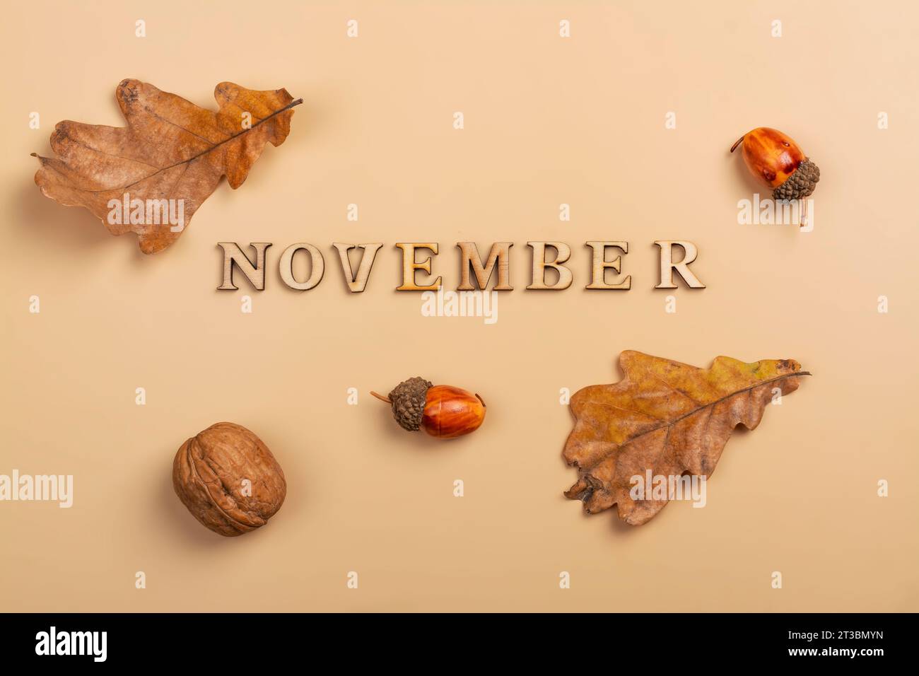 November background with dry leaves, acorns and walnut Stock Photo - Alamy