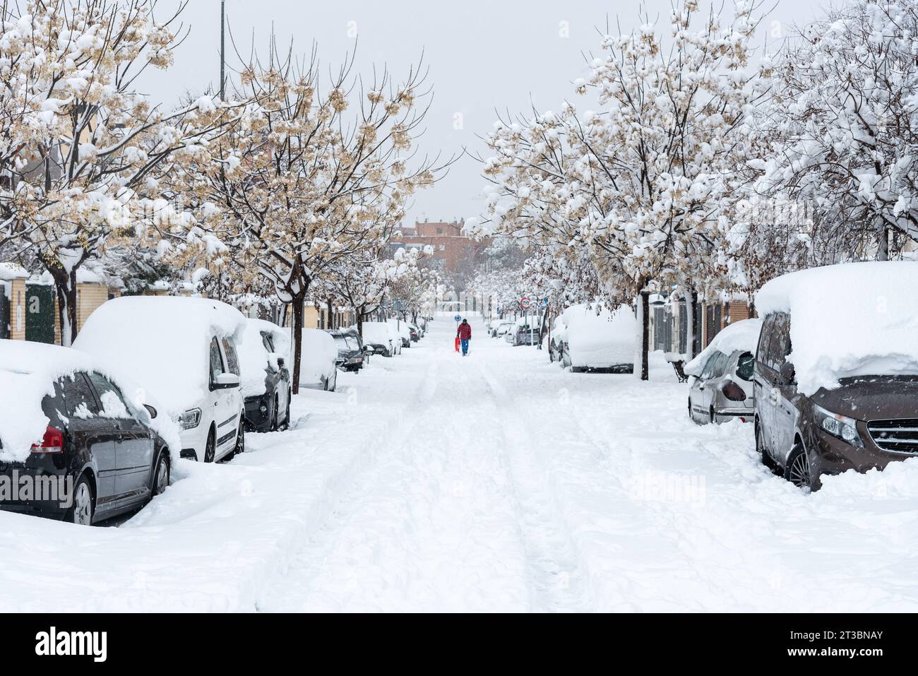 Snowy streets and cars covered with snow during a winter heavy blizzard ...