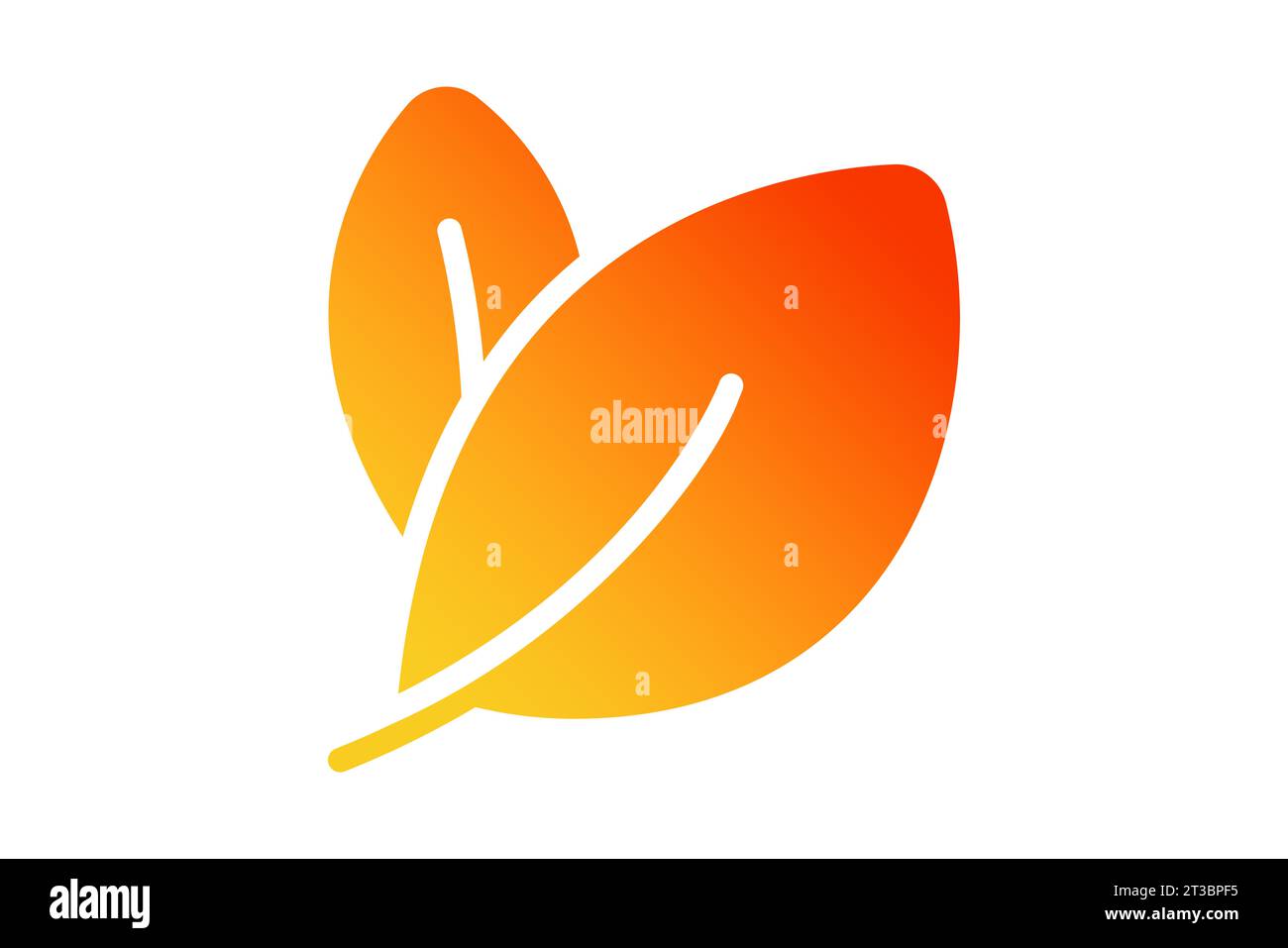 Touch leaf Cut Out Stock Images & Pictures - Alamy