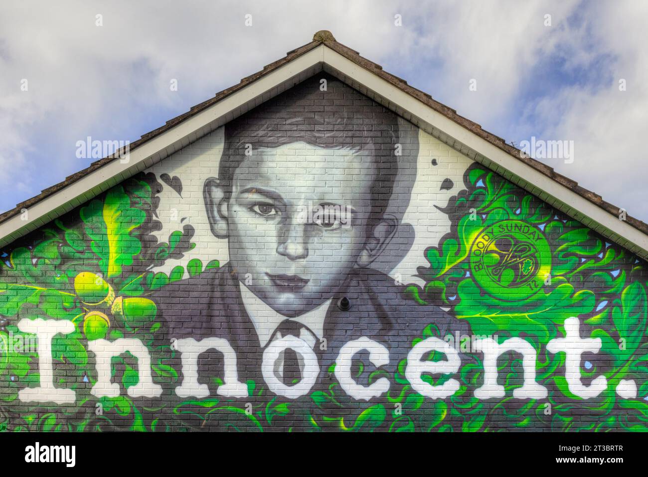 The murals of Derry, Northern Ireland, are a unique and powerful form ...