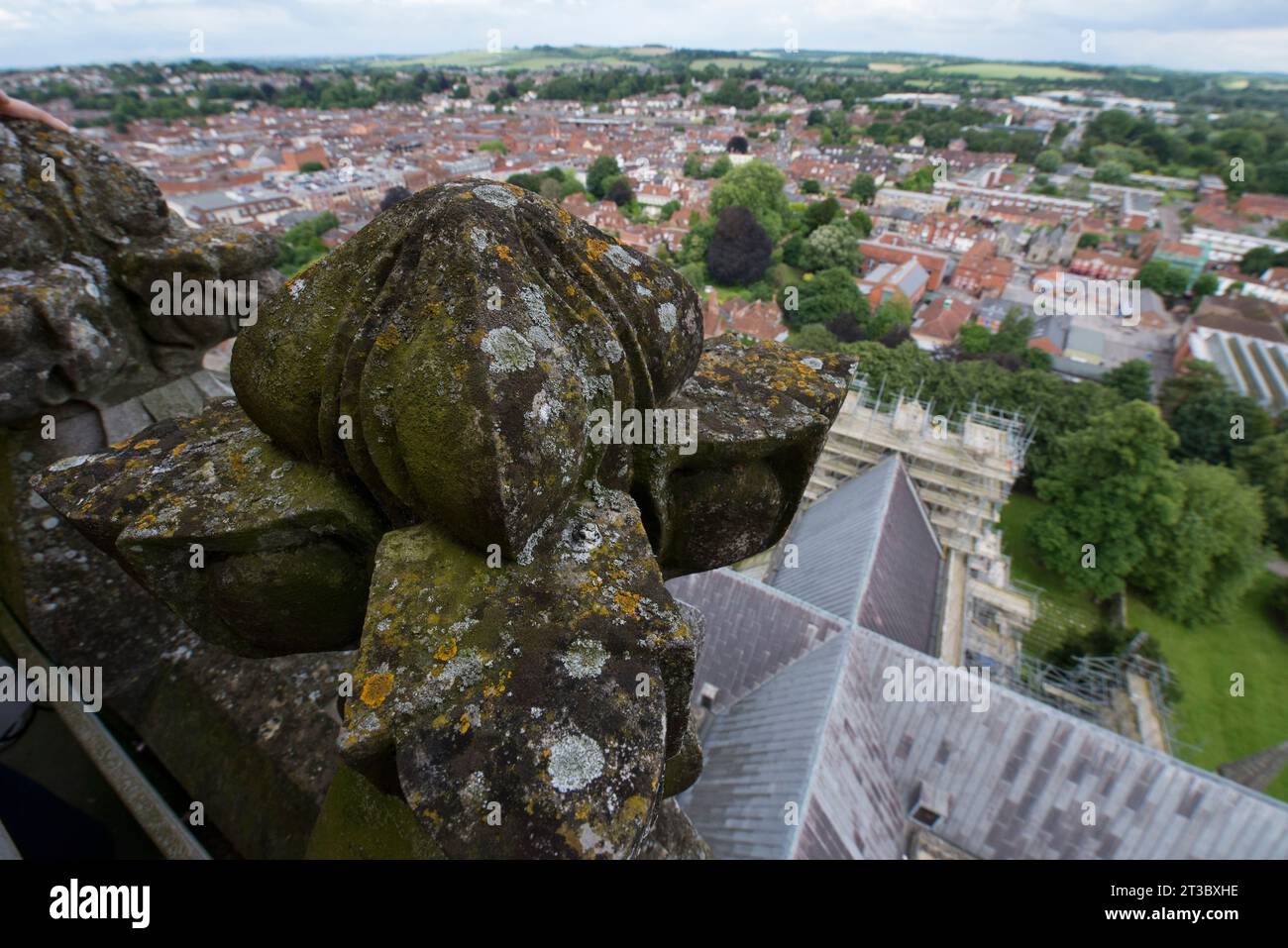 The view from Salisbury Cathedral spire Stock Photo - Alamy