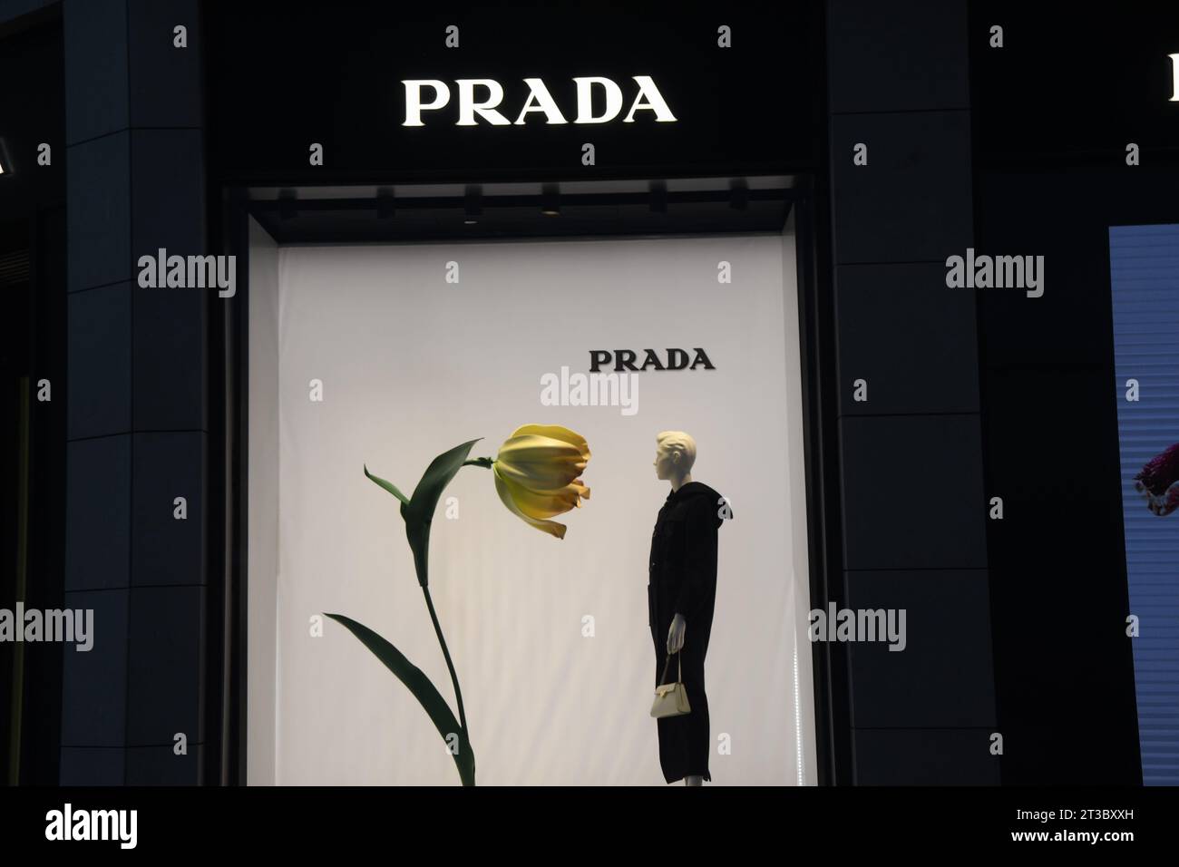 Copenhagen, Denmark /24 October. 2023/.Prada store on stroeget in ...