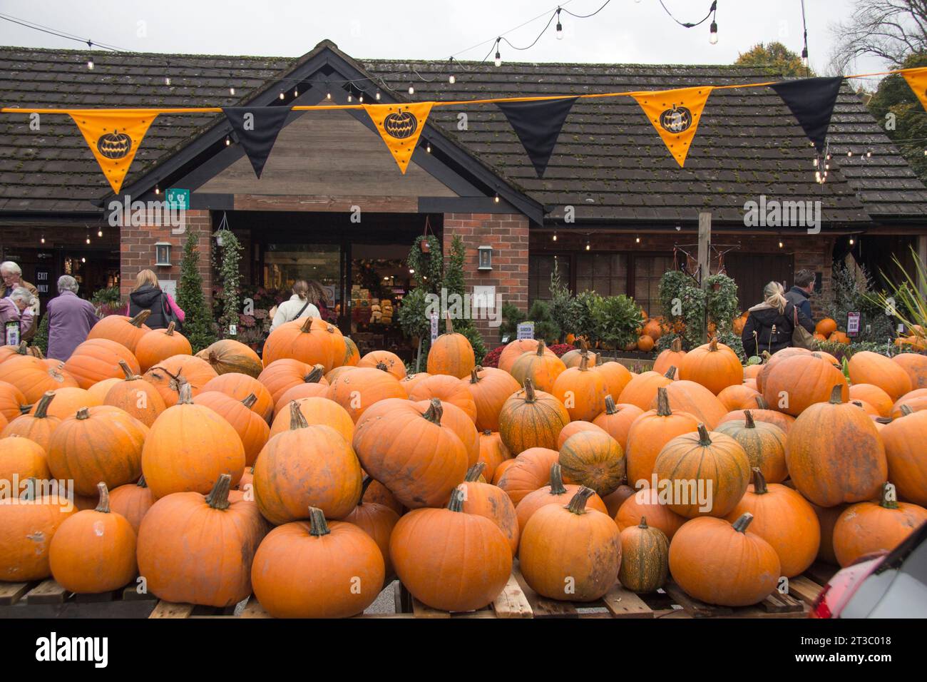 People shopping amid display of pumpkins for sale at The Hollies Farm ...