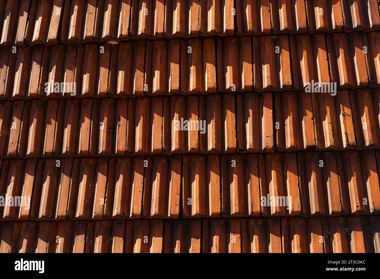 Orange texture of roof tiles in the rays of the setting sun. Texture ...