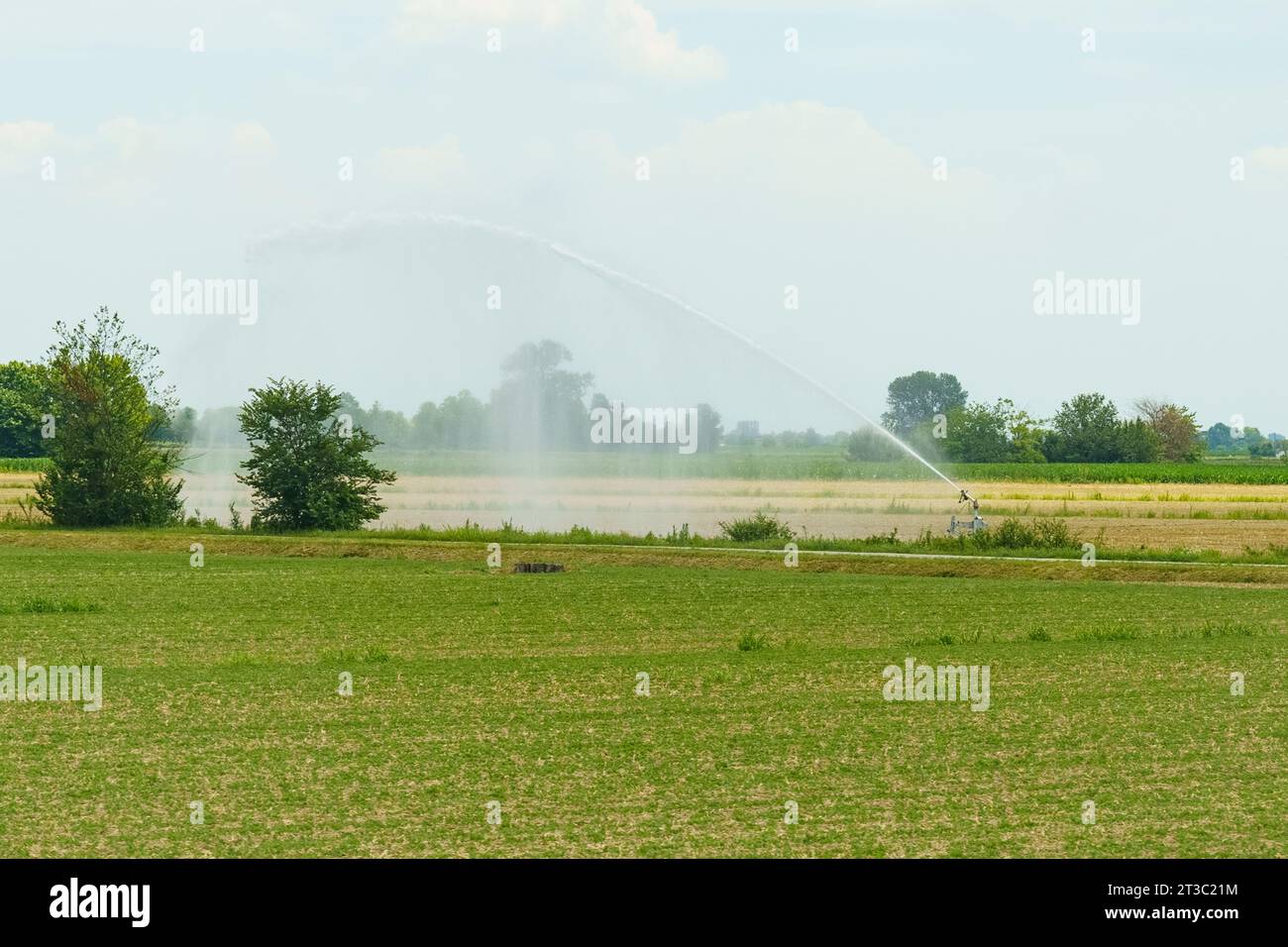 Spraying water from an irrigation system onto a field of agricultural ...