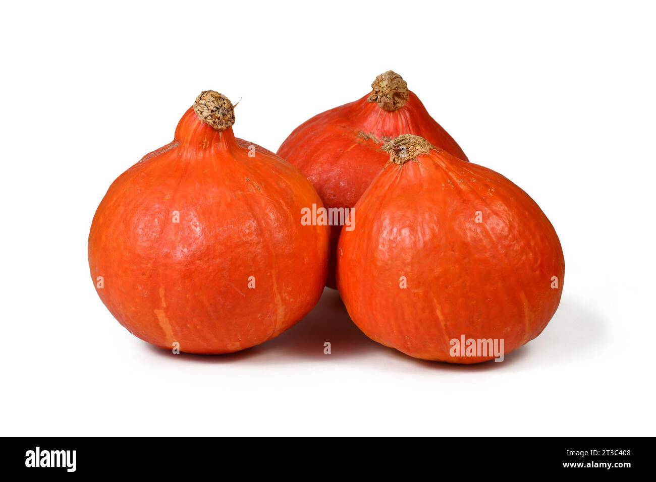 Three 'Red Kuri' squashes, also called 'Hokkaido' squash on white ...