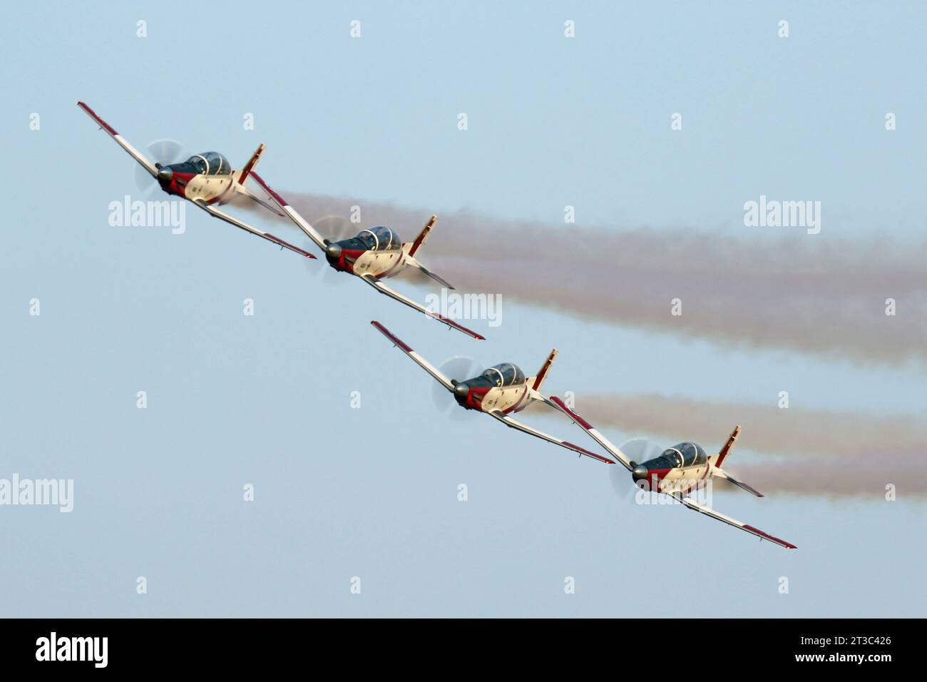 Israeli Air Force T-6 Texan II Efroni from the IAF Aerobatic Team ...