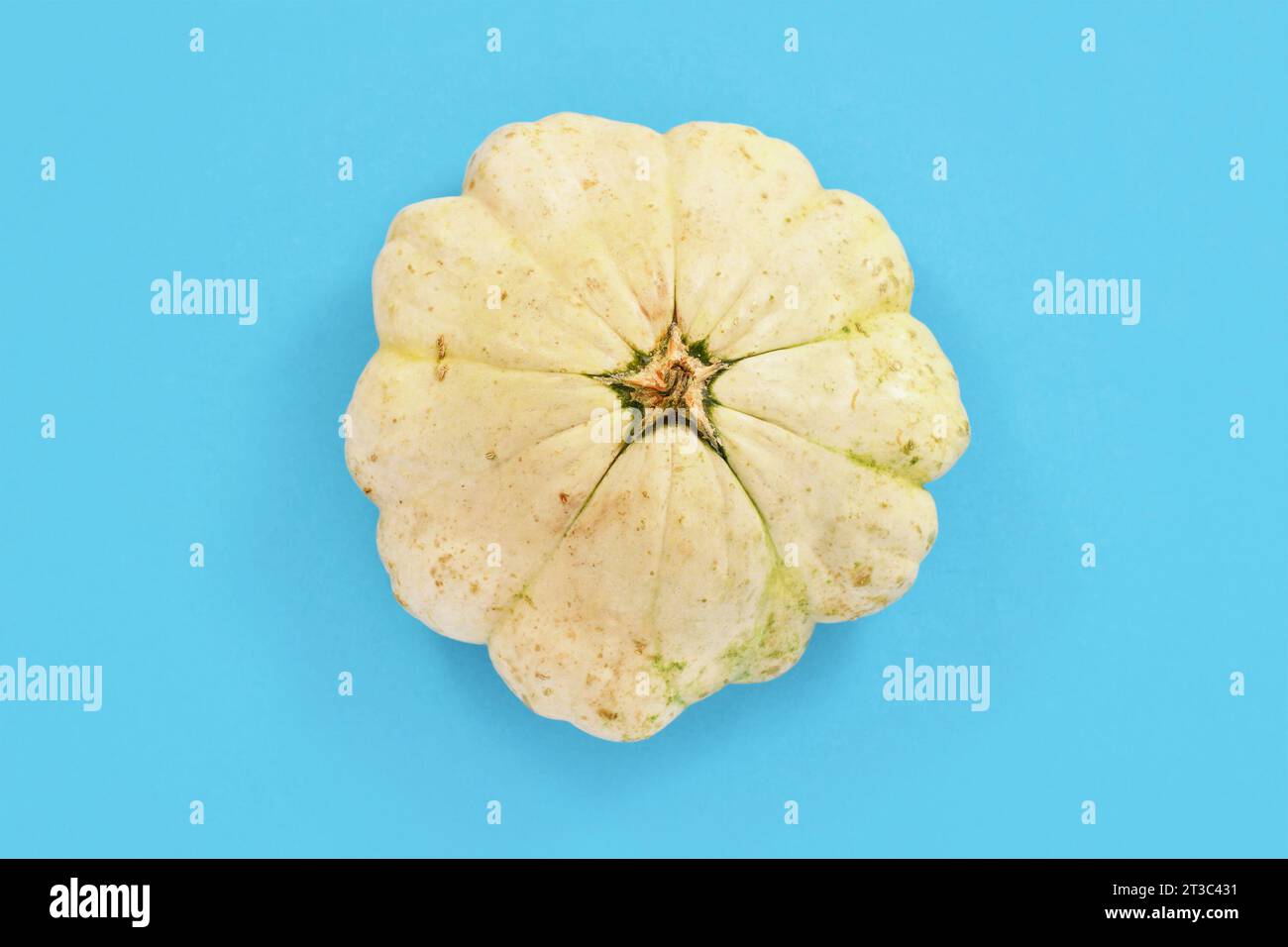 Top view of light yellow Pattypan squash with round and shallow shape ...