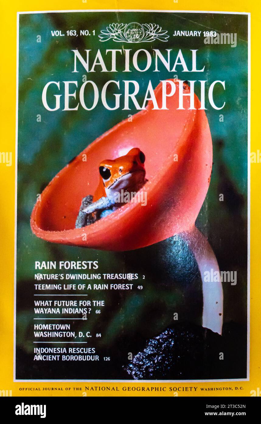 National Geographic Magazine Cover January 1983 Rain Forests Stock ...