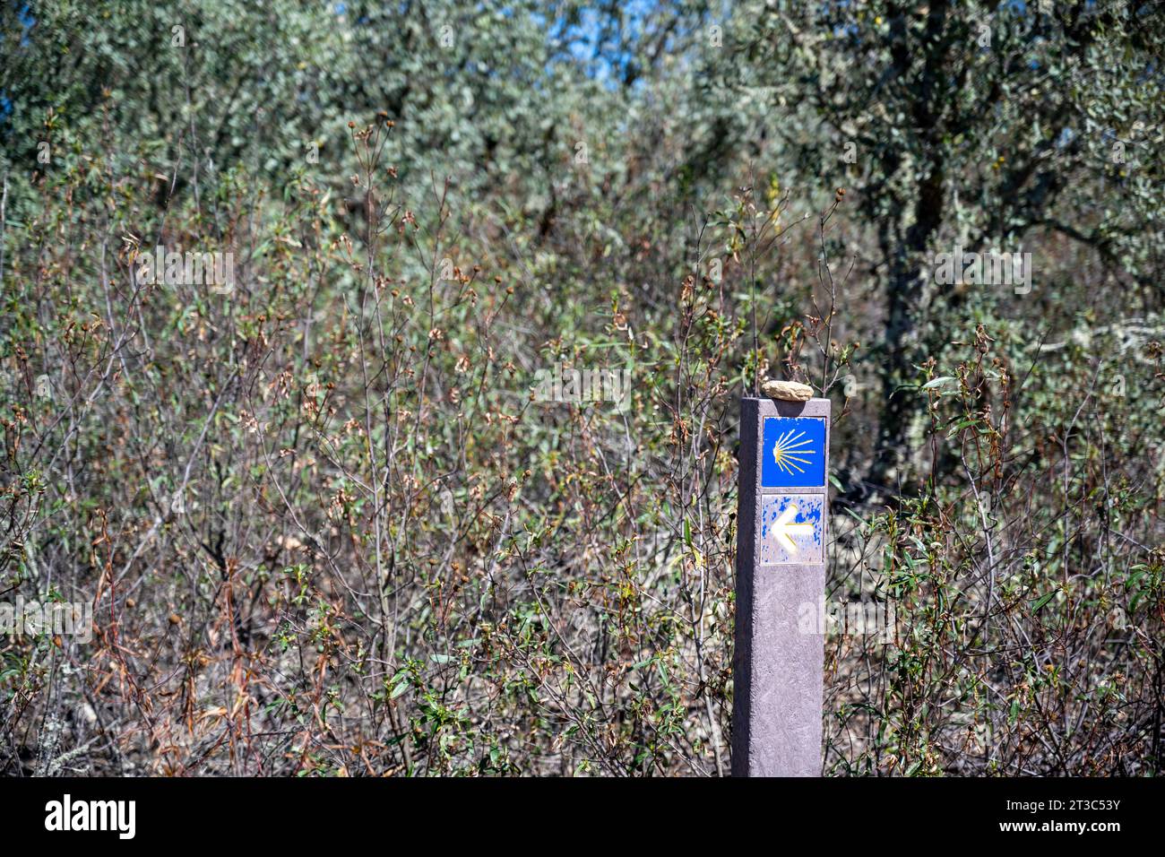 Pilgrims hiking in portugal hi-res stock photography and images - Alamy