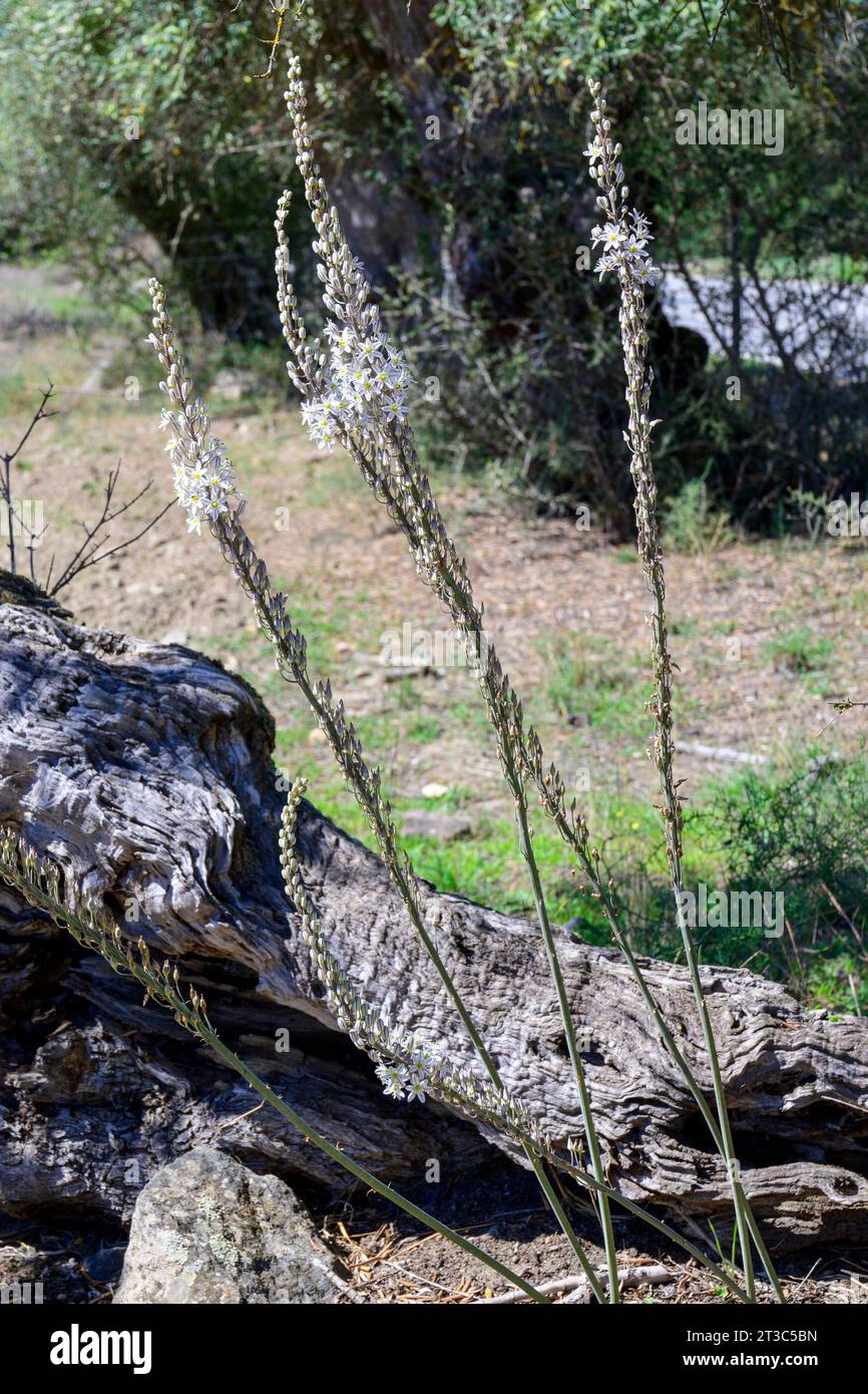 Maritime classification hi-res stock photography and images - Alamy