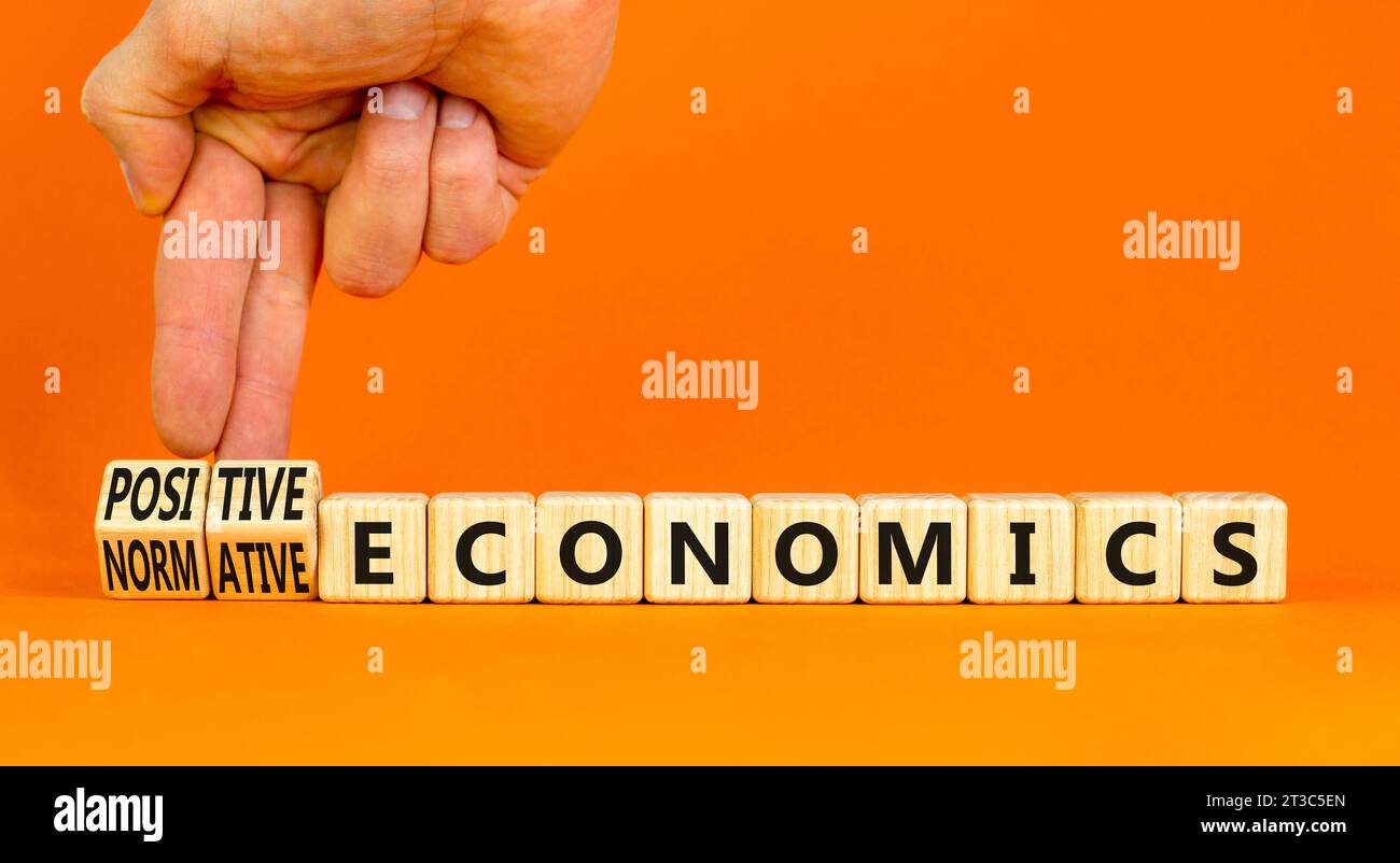 Positive or normative economics symbol. Concept words Positive ...