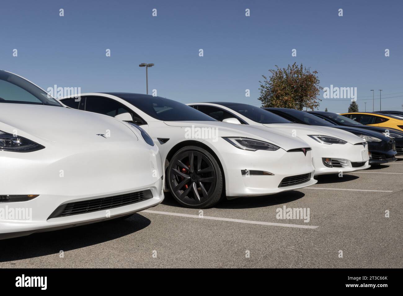 Indianapolis - October 22, 2023: Tesla EV electric vehicle display at a ...