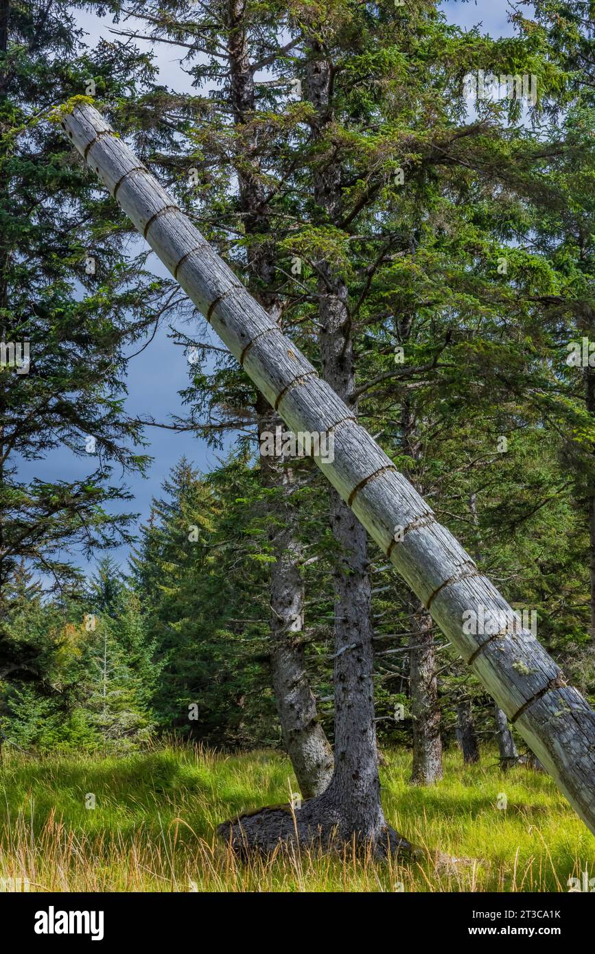 Totem pole with grooves marking numbers of potlatches, in the ancient ...