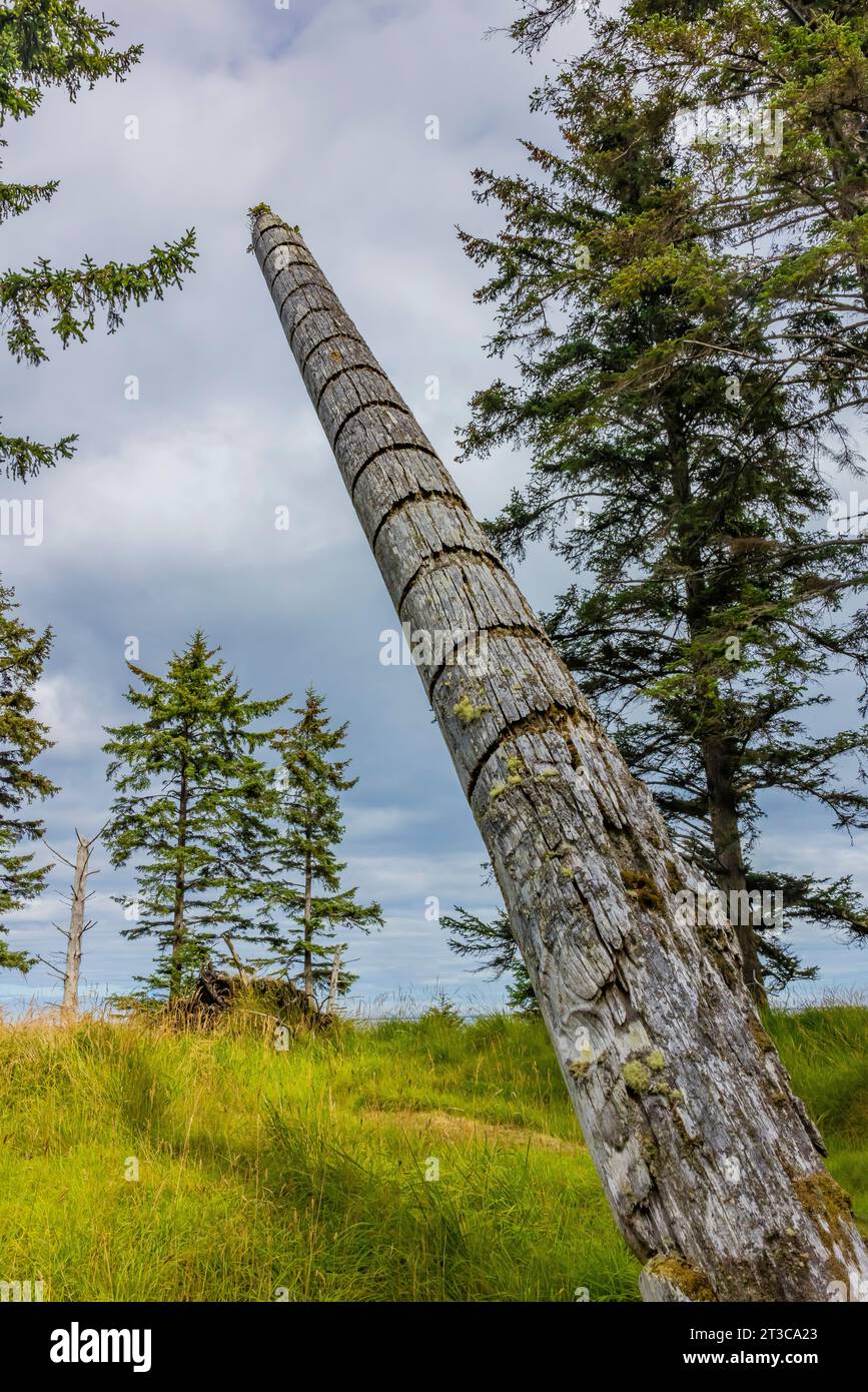 Totem pole with grooves marking numbers of potlatches, in the ancient ...
