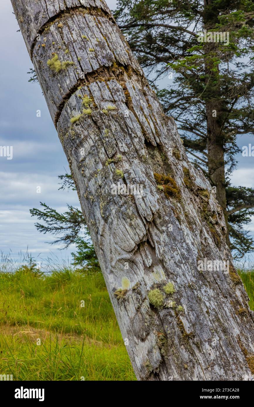 Totem pole with grooves marking numbers of potlatches, in the ancient ...
