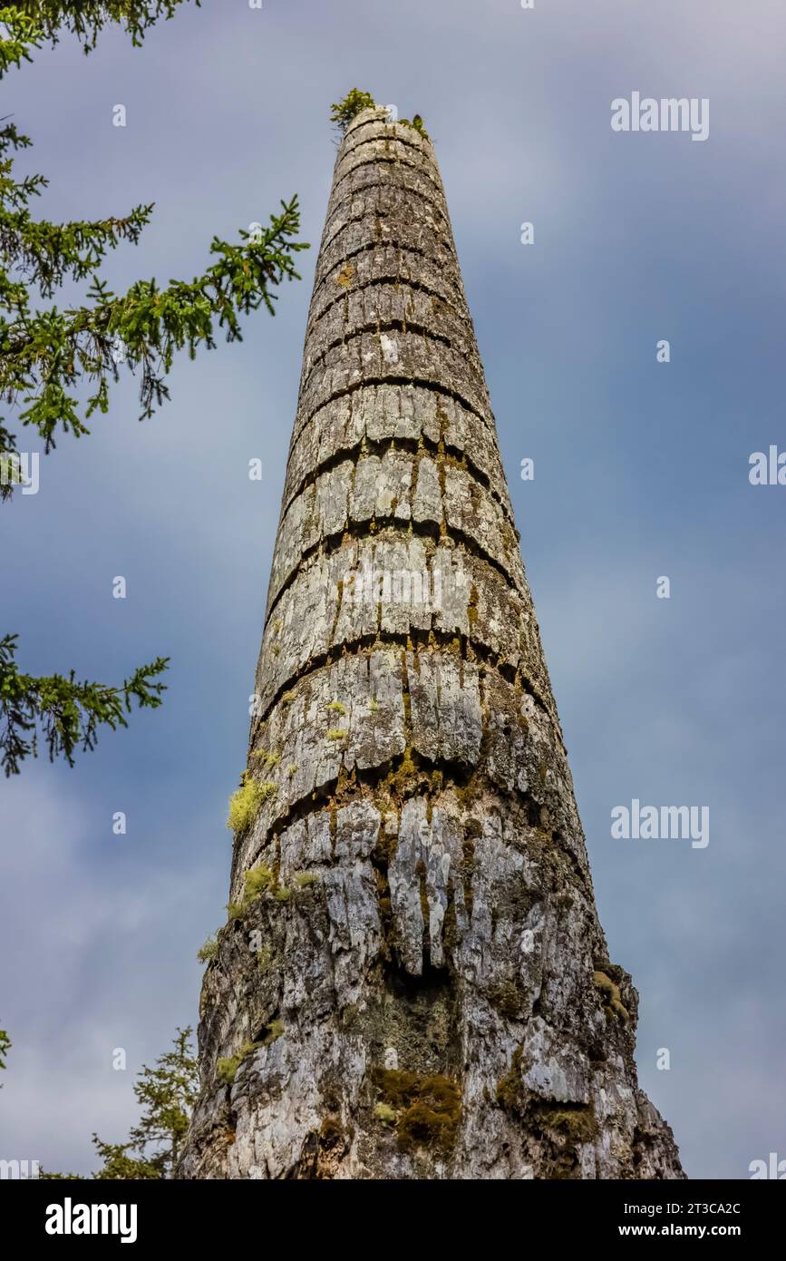 Totem pole with grooves marking numbers of potlatches, in the ancient ...