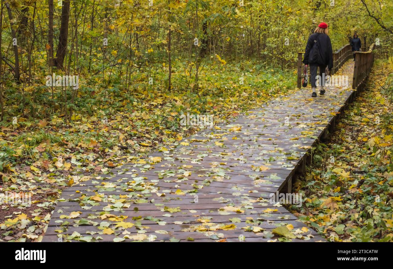 Pathway through rainy autumn hi-res stock photography and images - Alamy