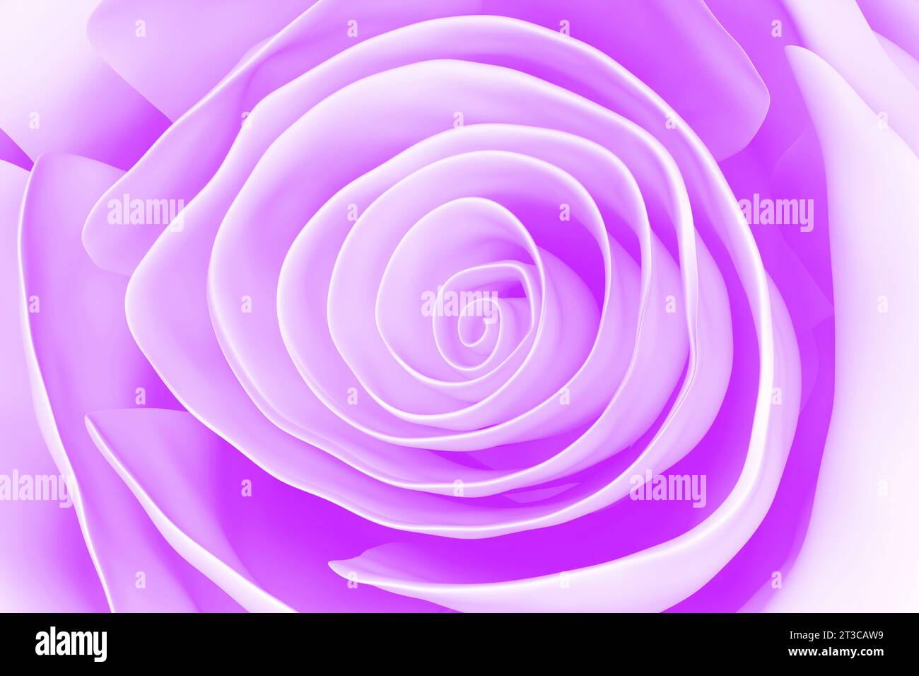 Elegant light violet rose background, 3d rendered Stock Photo - Alamy