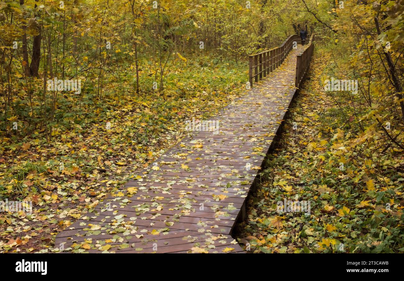 Pathway through rainy autumn hi-res stock photography and images - Alamy