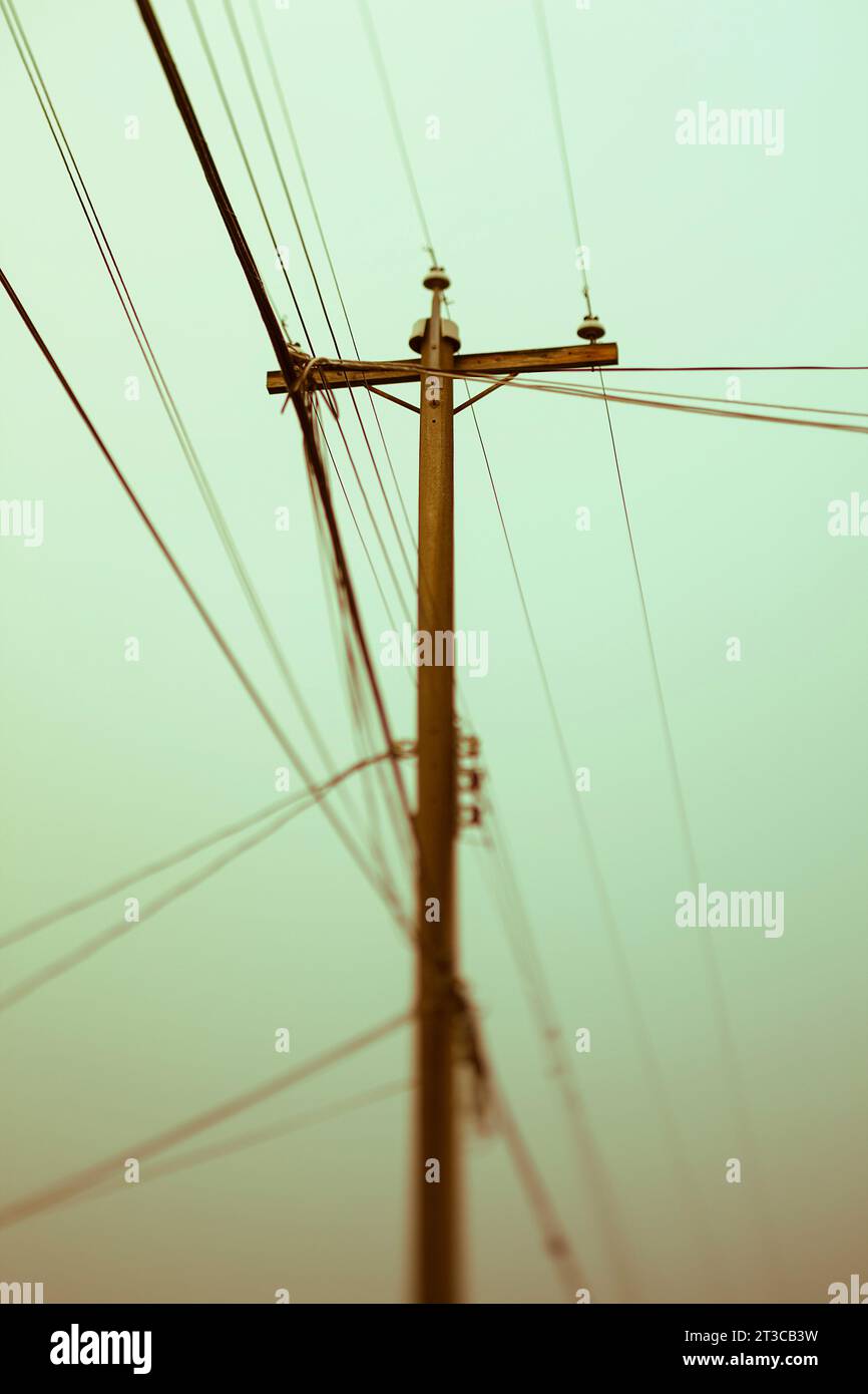 Utility pole and power lines against light green sky Stock Photo - Alamy
