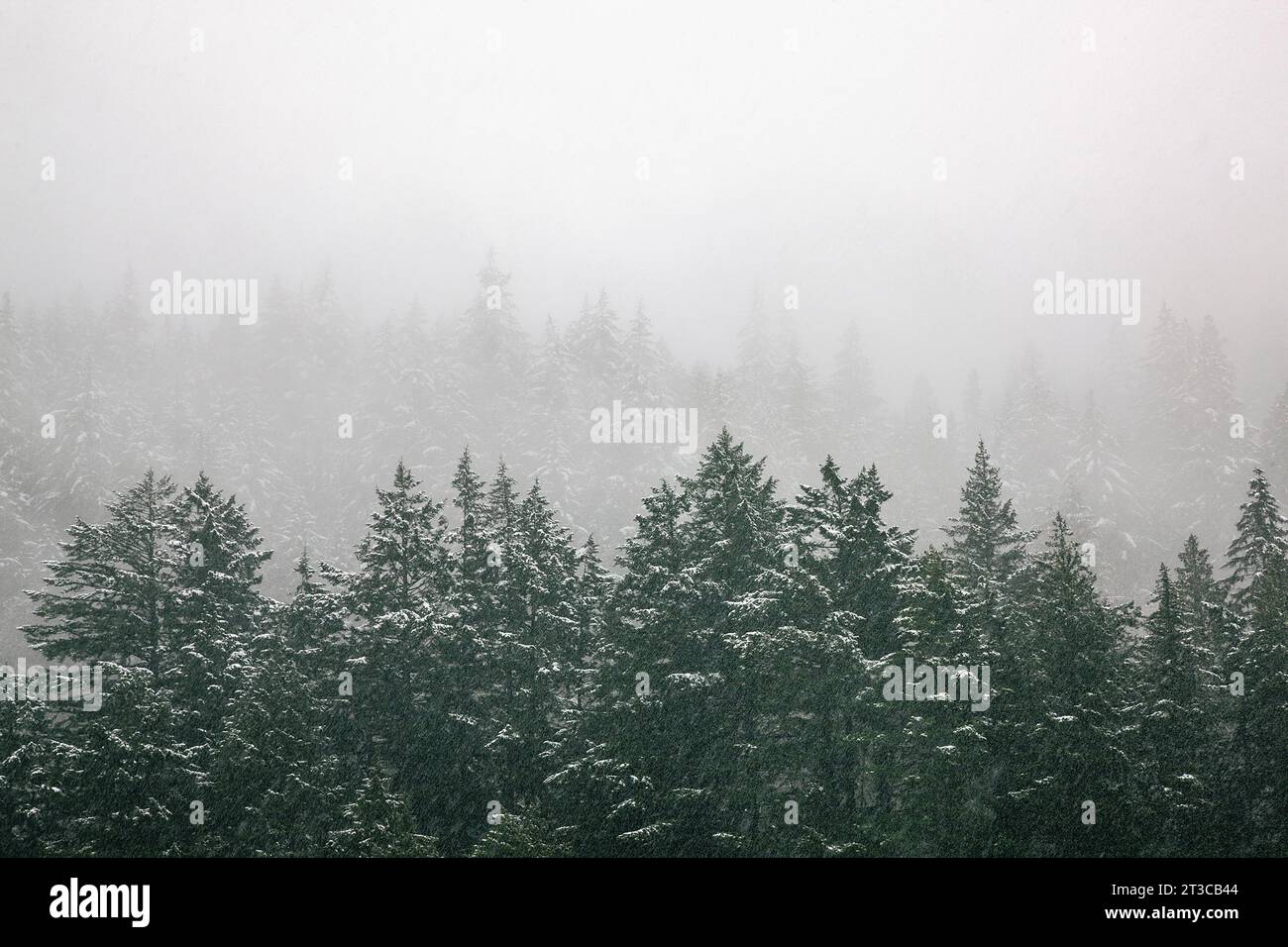 Frosted bay hi-res stock photography and images - Alamy