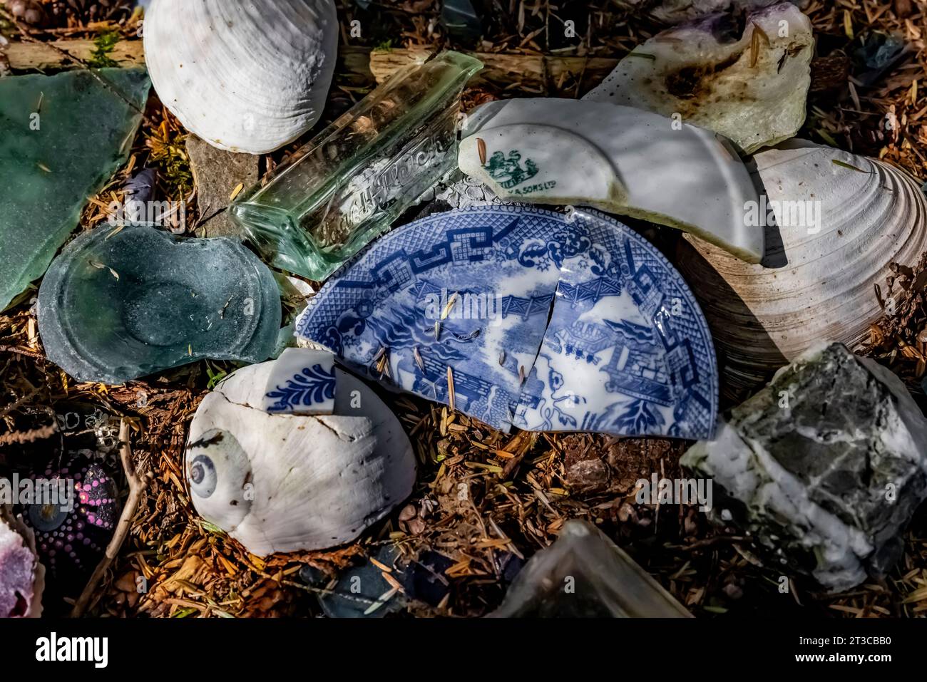 Pottery left at an old and abandoned Japanese abalone cannery in Gwaii ...