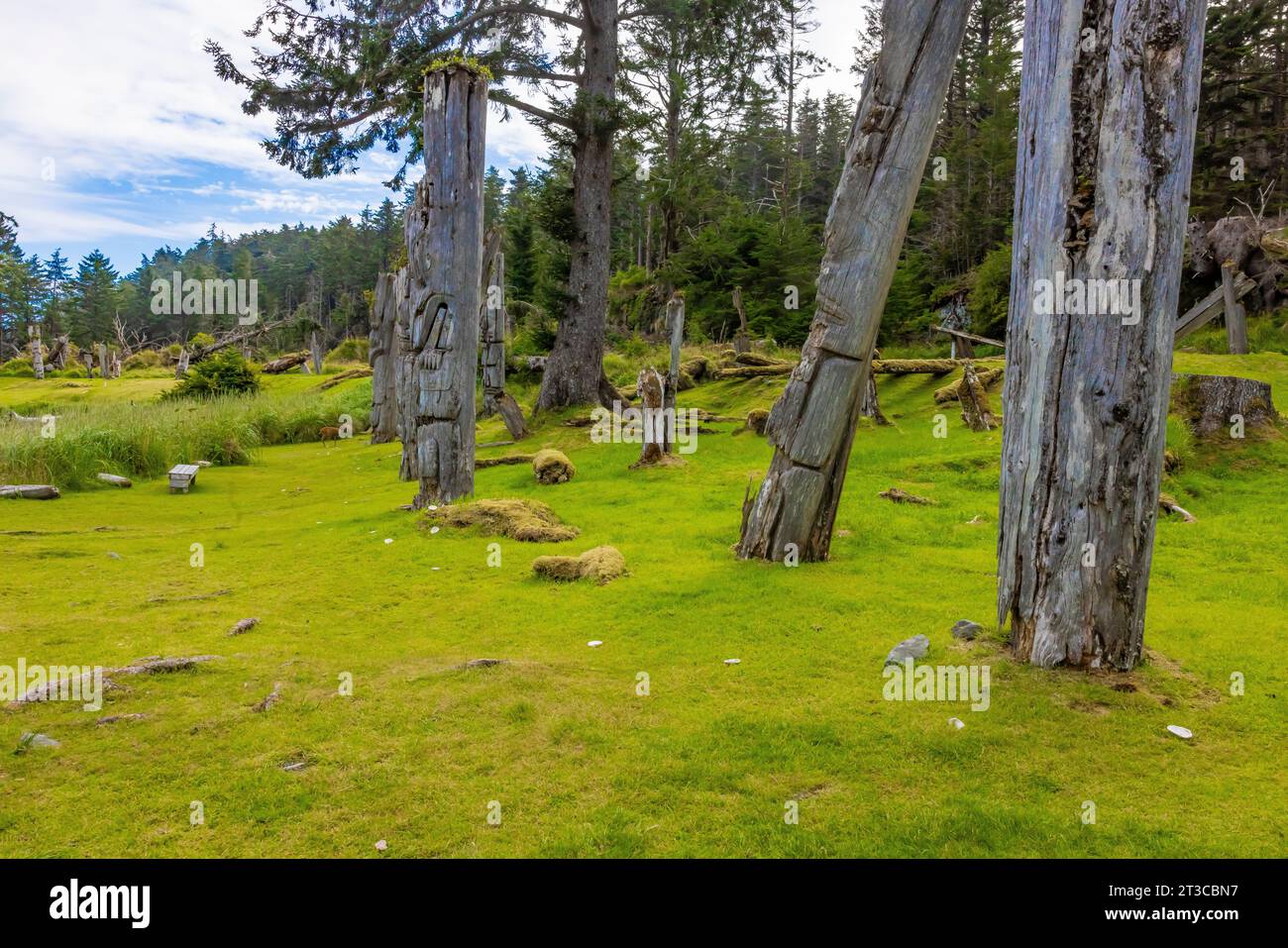 Haida watchmen hi-res stock photography and images - Alamy