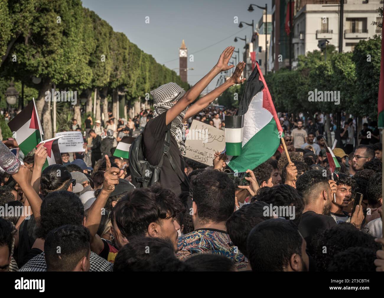 The crowd of protesters with Palestinian flags and Keffiyehs at the pro ...