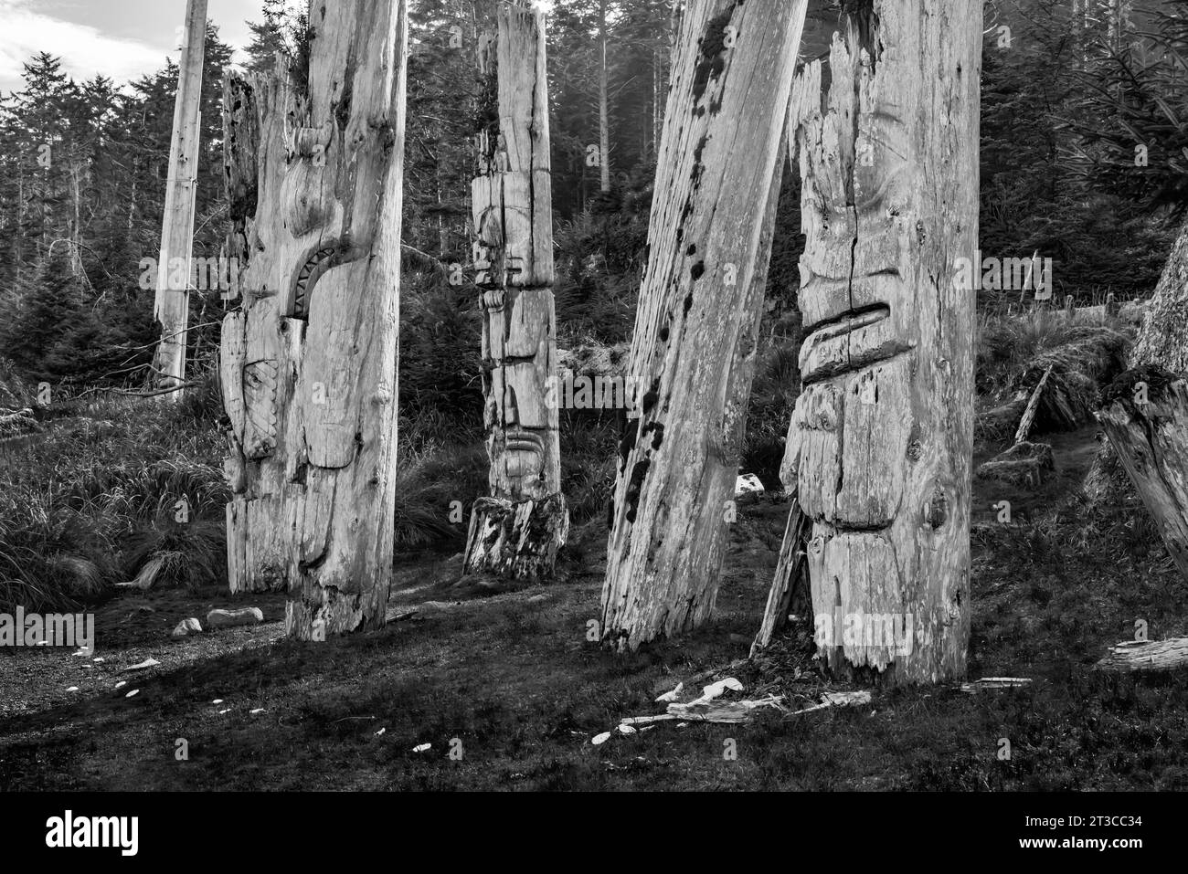 Totem poles at UNESCO World Heritage Site Sgang Gwaay Llnagaay, an ...