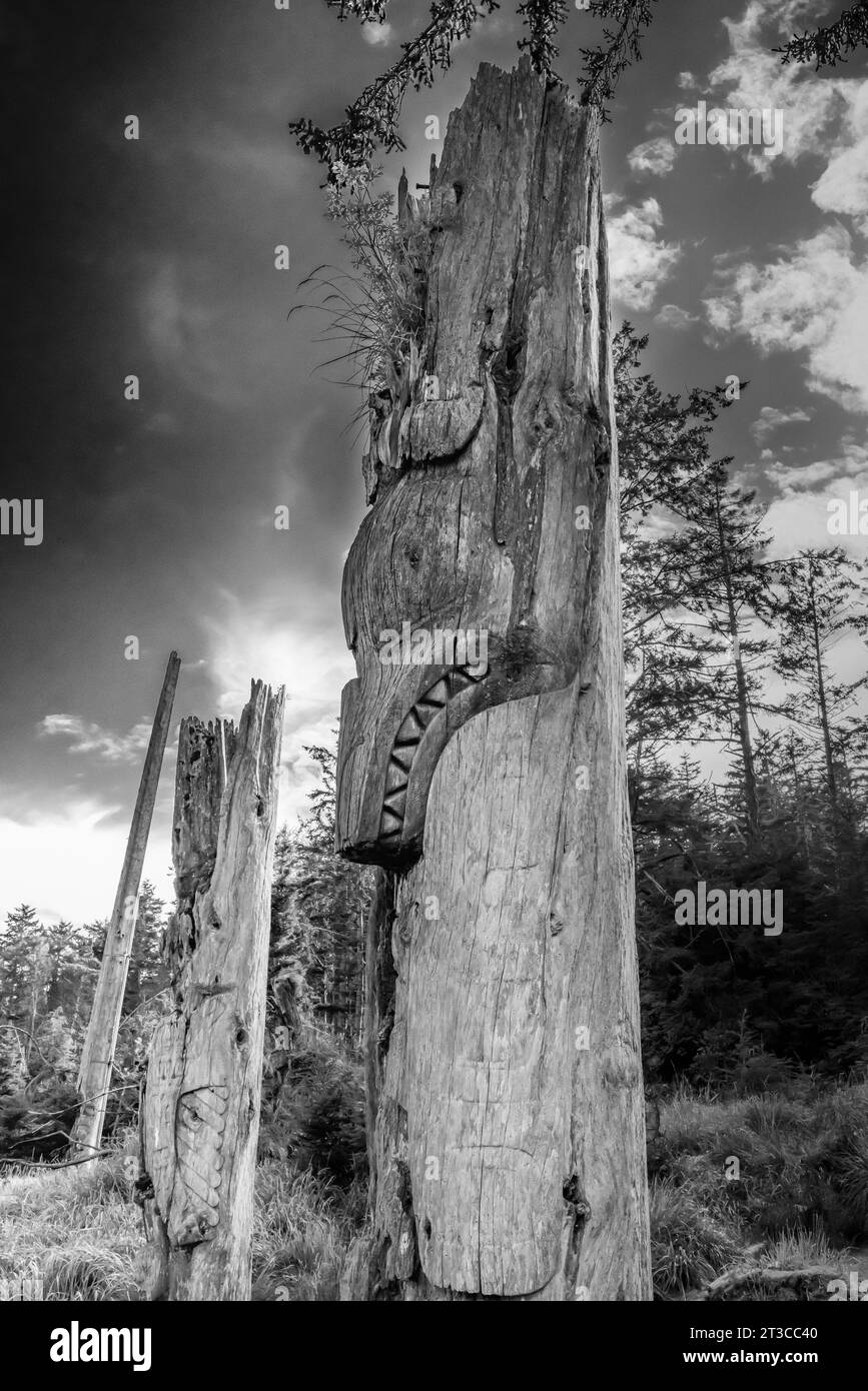 Haida art design hi-res stock photography and images - Alamy Haida art design hi-res stock photography and images - Alamy
