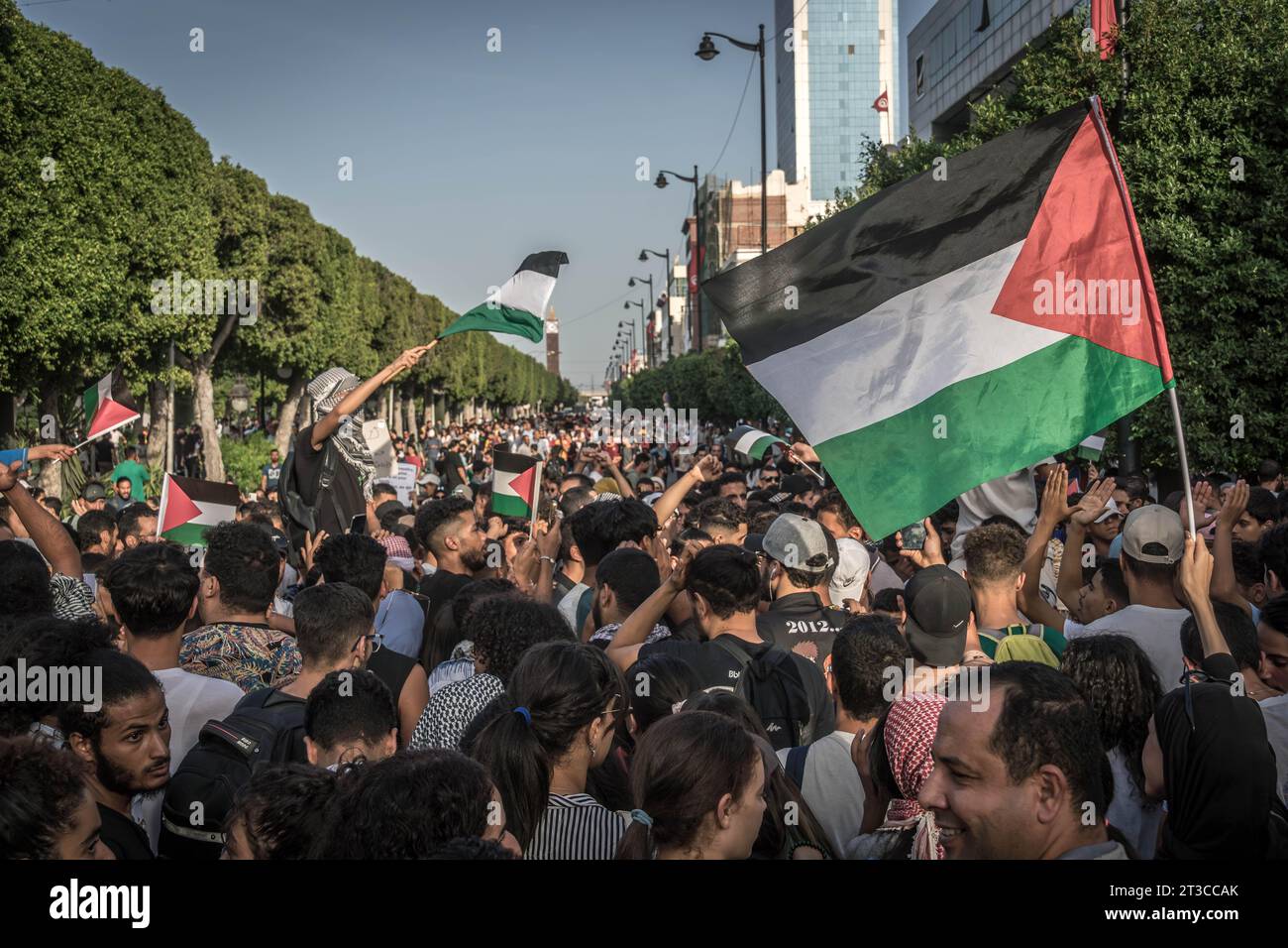 The crowd of protesters with Palestinian flags and Keffiyehs at the pro ...
