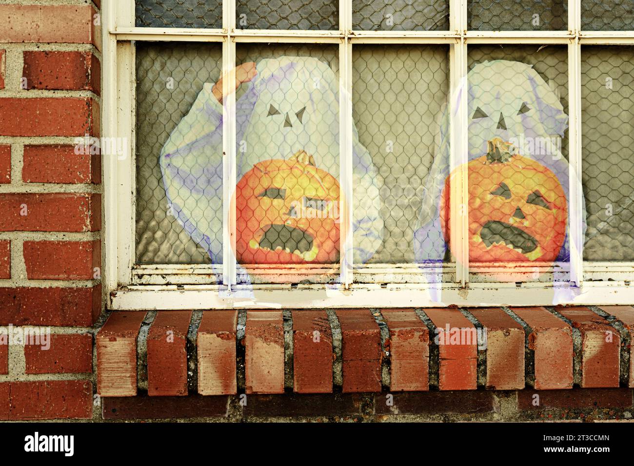 Pumpkins, jack-o-lanterns & ghosts look out the old window in brick ...