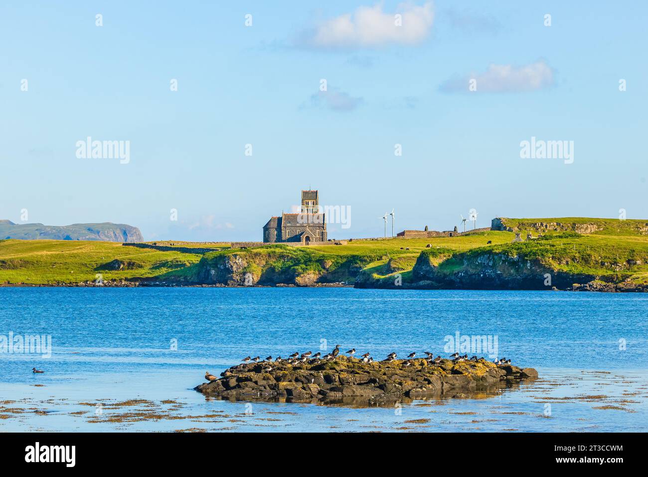 Isle of Canna, Inner Hebrides, Scotland with seabirds resting on a rock ...