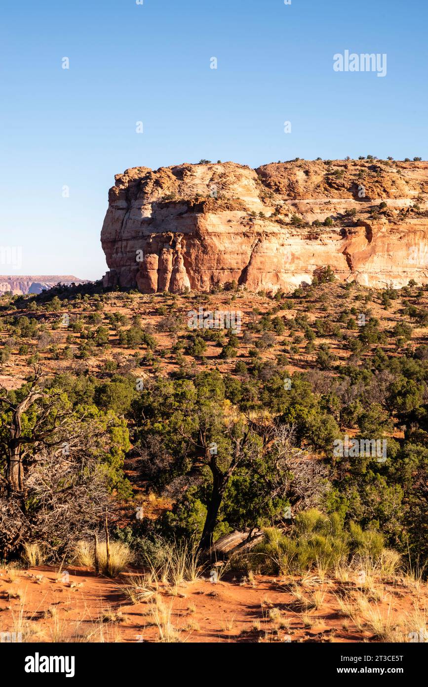 Photograph of Millard Canyon, Glen Canyon National Recreation Area ...