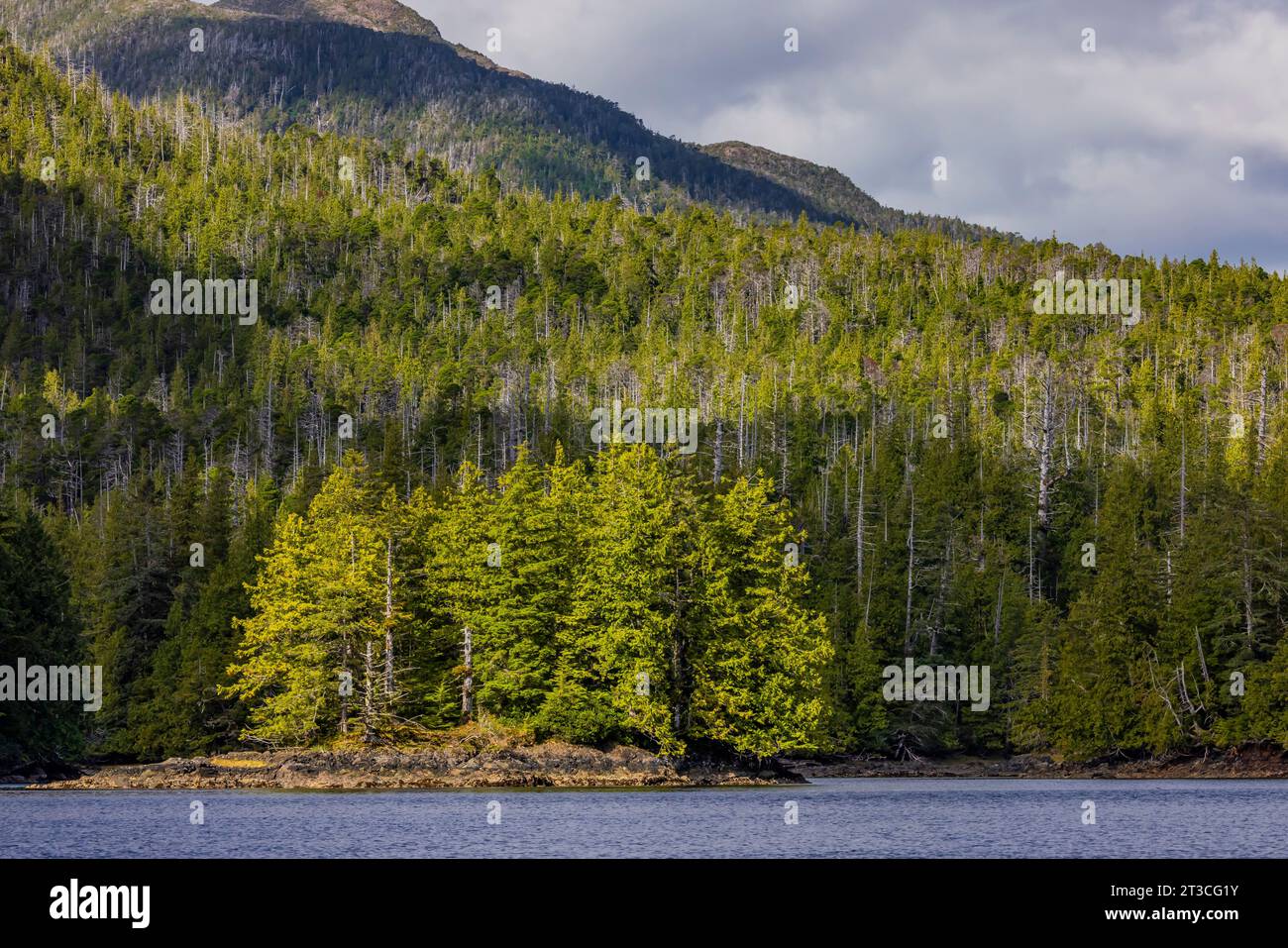 Burnaby Narrows at high tide in Gwaii Haanas National Park Reserve ...