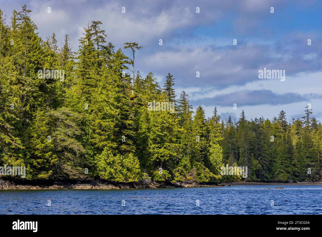 Burnaby Narrows at high tide in Gwaii Haanas National Park Reserve ...